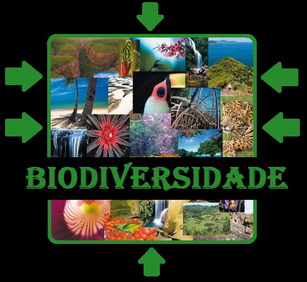 PORQUE A BIODIVERSIDADE FAZ BEM PARA VOCÊ